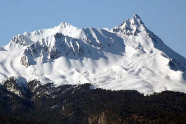 Flora y fauna de Tabasco - México mi país